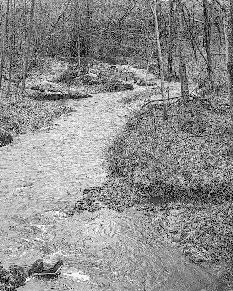 Streaming Dreams - Frederick Fullerton's Mental Meanderings