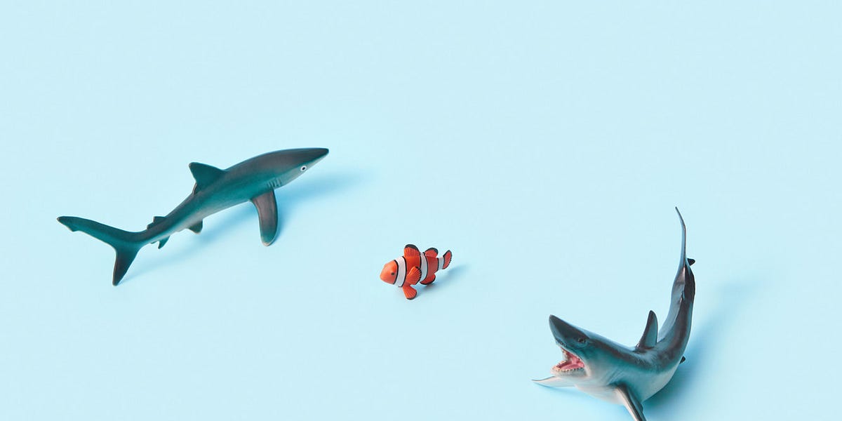 From Wildlife to Work Life: What Animals Can Teach Us About Team Success