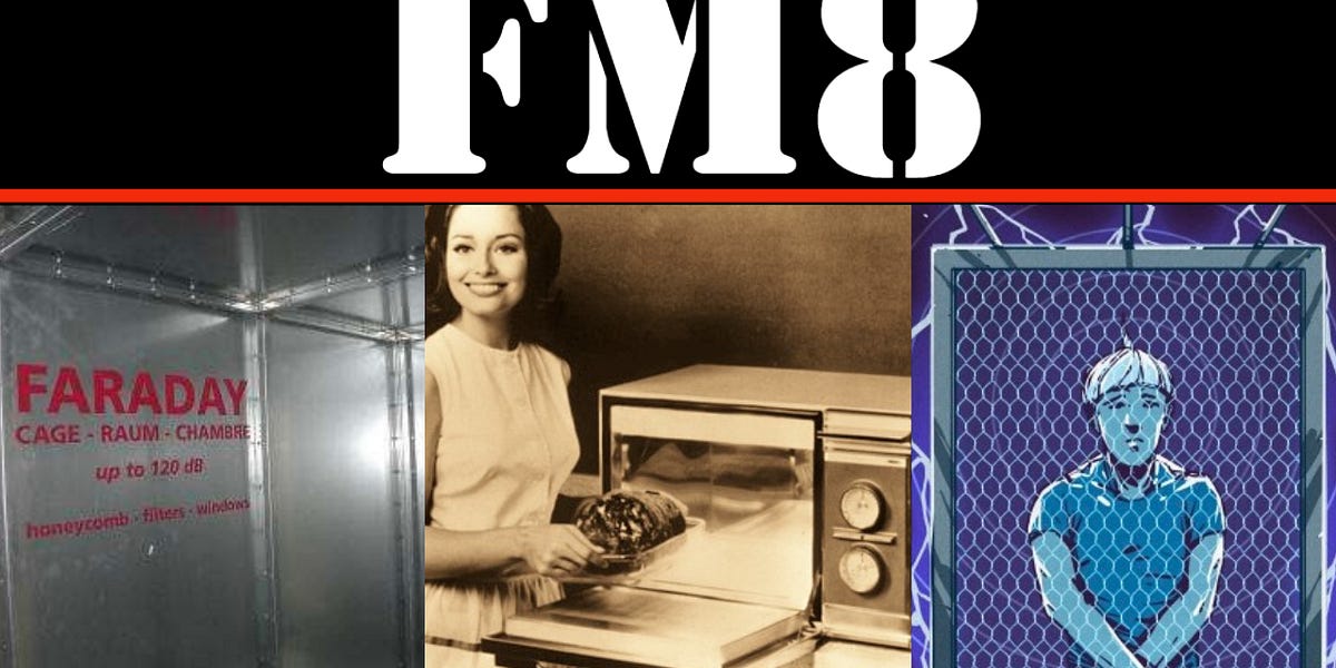 FM8 - FARADAY DILEMMA - FM8’s Substack
