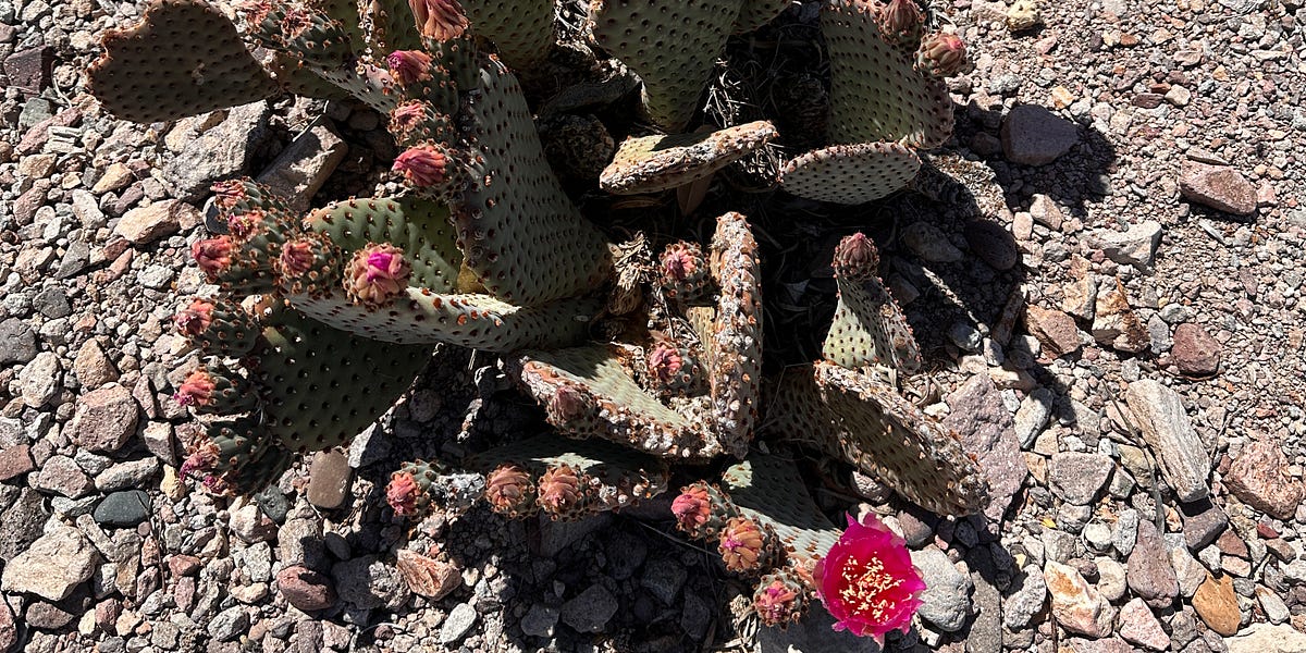 Feeling worthless without a job? - by Kelly Boyett