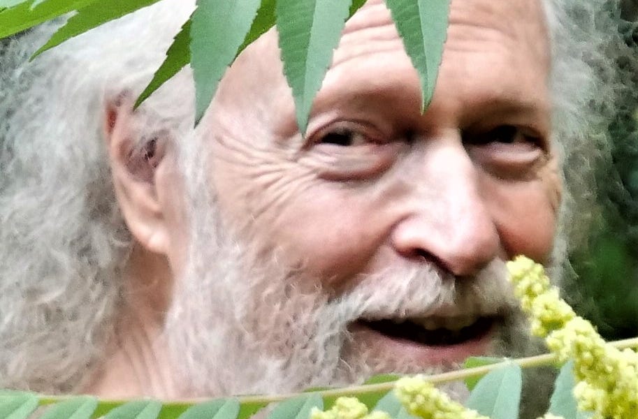 Low Flush Toilet - Eric’s Substack