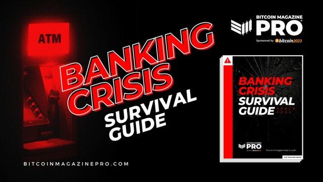 Preview: Banking Crisis Survival Guide