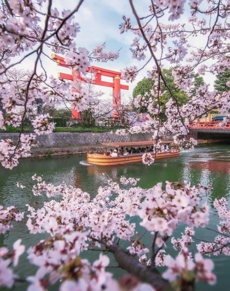 🧿 ¿Viajar distinto? ¡Viajar a Asia! 🤩 Te dejamos 10 lugares épicos para ...