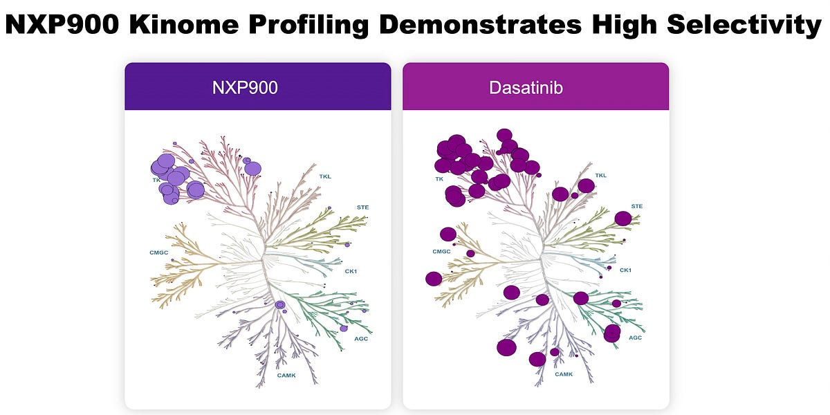 Nuvectis Pharma’s Truffle Pig Moment - Truffle Pigs