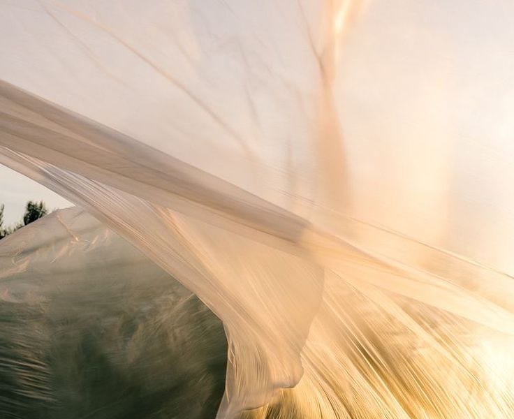 Enorme 2024 - by Sofía Santibañez - Sofía’s Substack