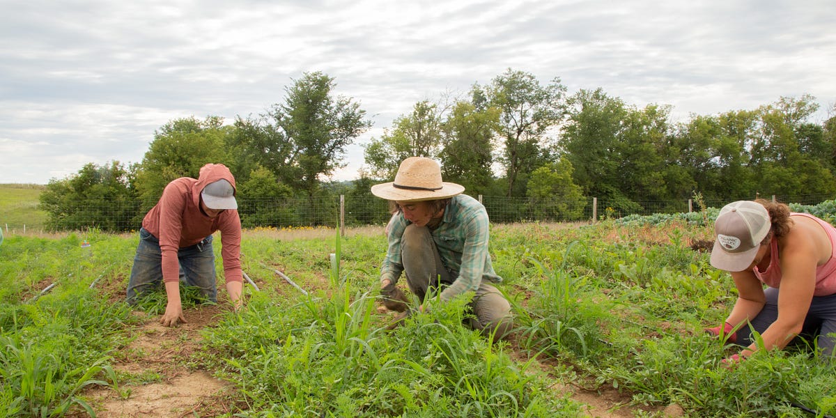 Worker-Owned Co-ops: - Mary Swander's Emerging Voices