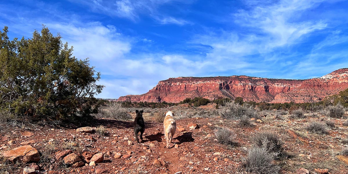 Exclusive Letter to Founding Members - Tom Ryan, Author