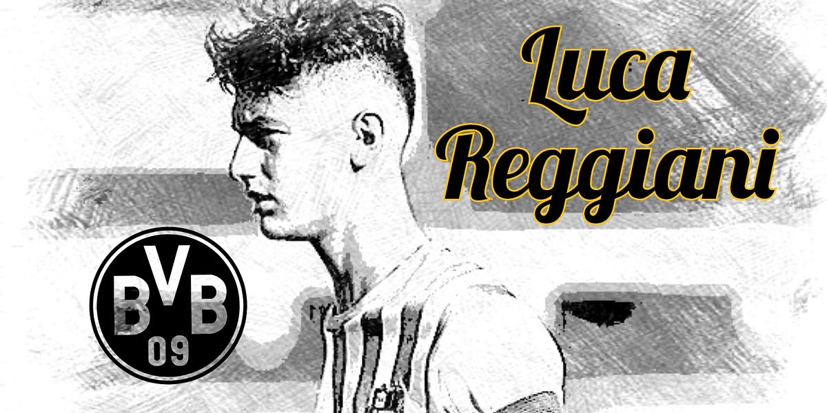 Luca Reggiani: Highlight Compilation - by Reece Edwards