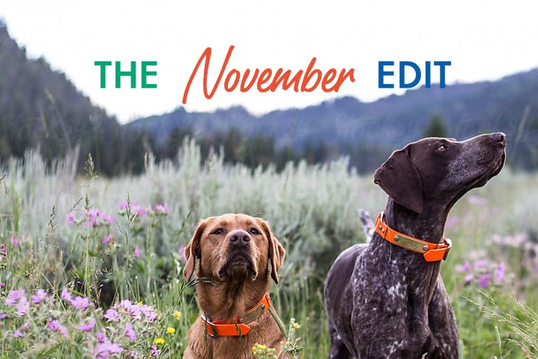 The November Edit - by Joanna Goddard and Kaitlyn Teer
