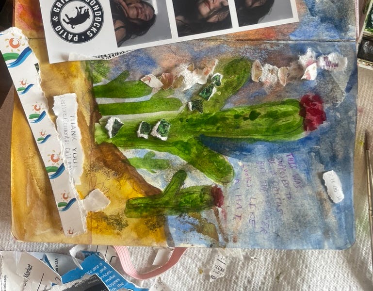 a desert in june - by karlie flood