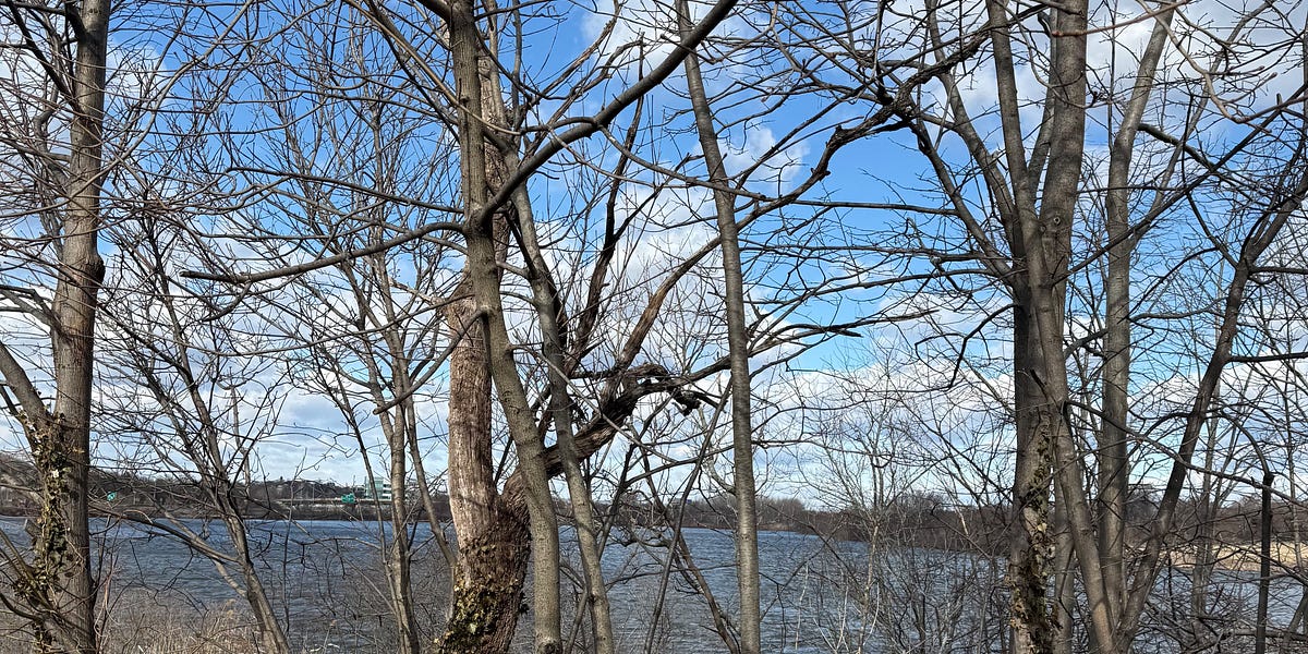 Molasses on the Mystic River - by Elizabeth Maddock Dillon