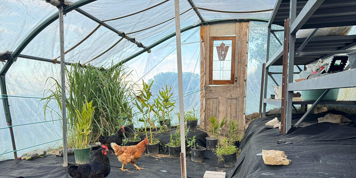 New floor for the greenhouse - East Springs Farm Substack