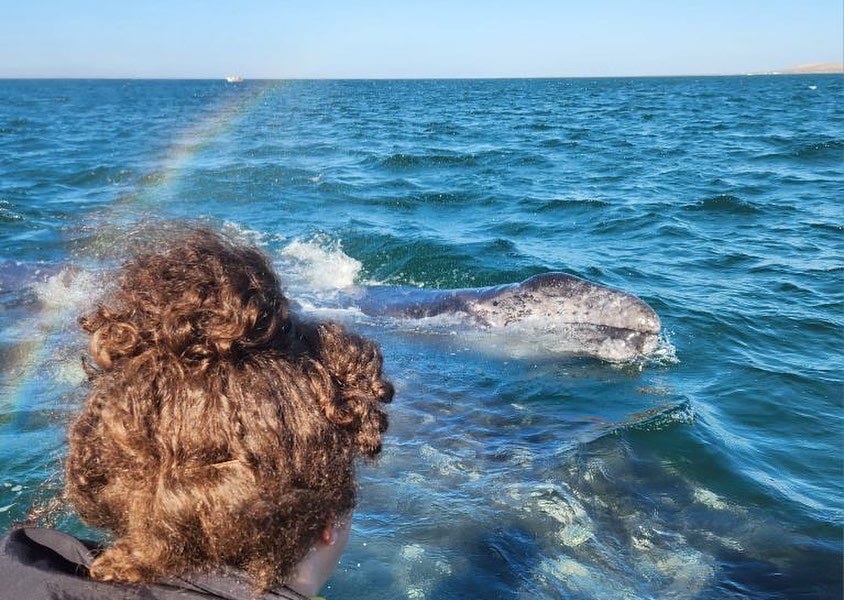 A swoon - by Lizz Hamilton - All Miracles Are Strange