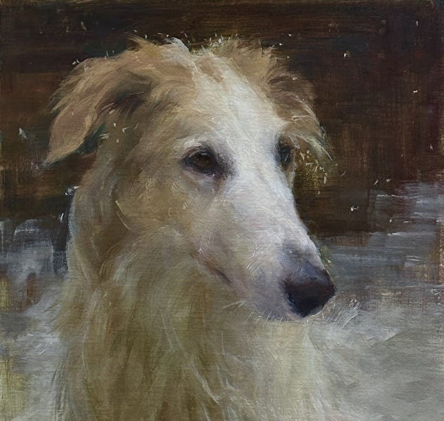 Johanne Mangi - by Clintavo - BoldBrush Collector