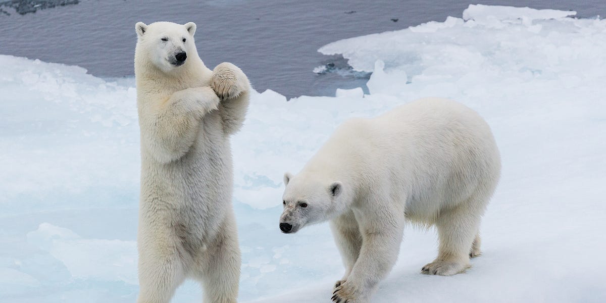 Discover the Power of Polars Library for Fast and Efficient Data ...