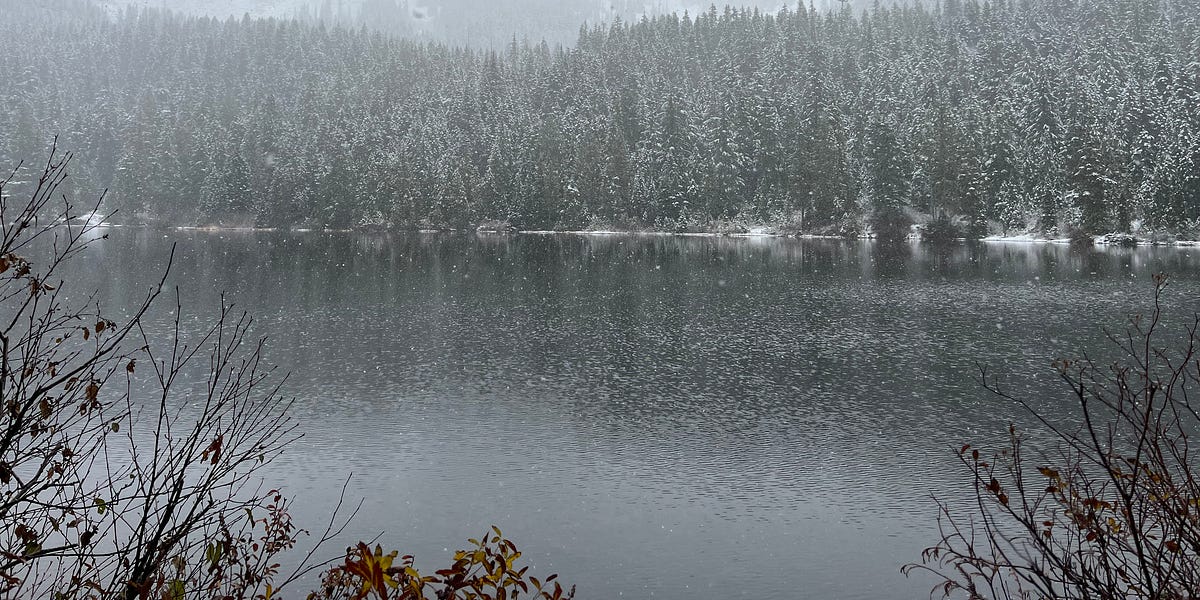 Introducing: Know Yourself - by Adithya Bellary