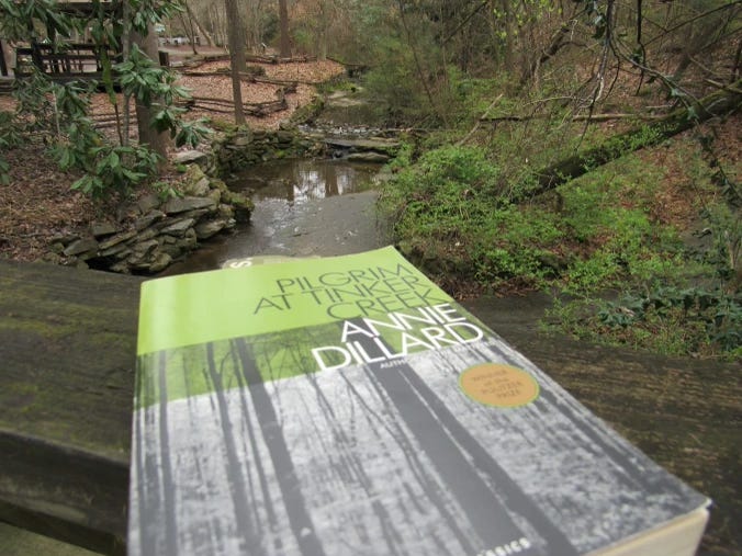 From The Beloved Bookshelf - Begin In Wonder Substack