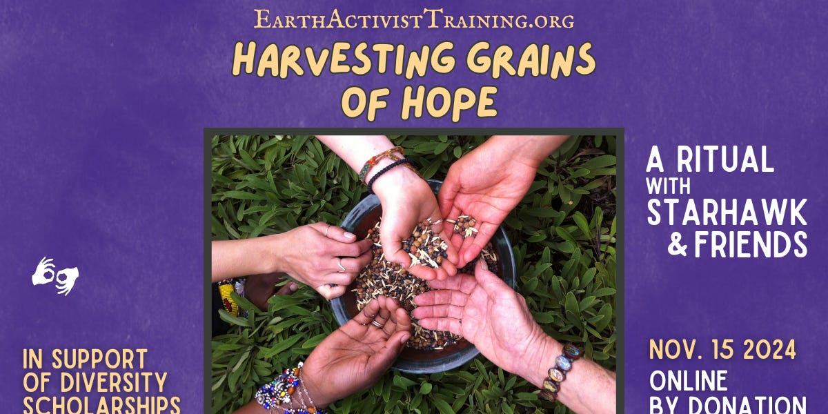 Harvesting Grains of Hope - Starhawk’s Substack