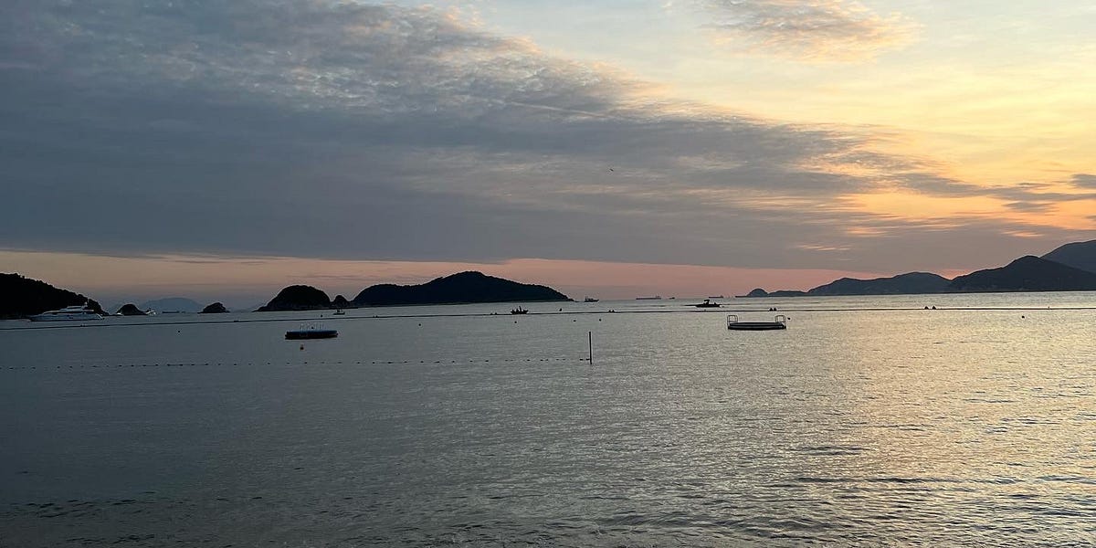 my memory archive - postcards by elle