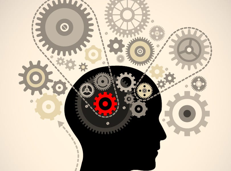 先饱和你的第一大脑 - by happy xiao - 可乐周报