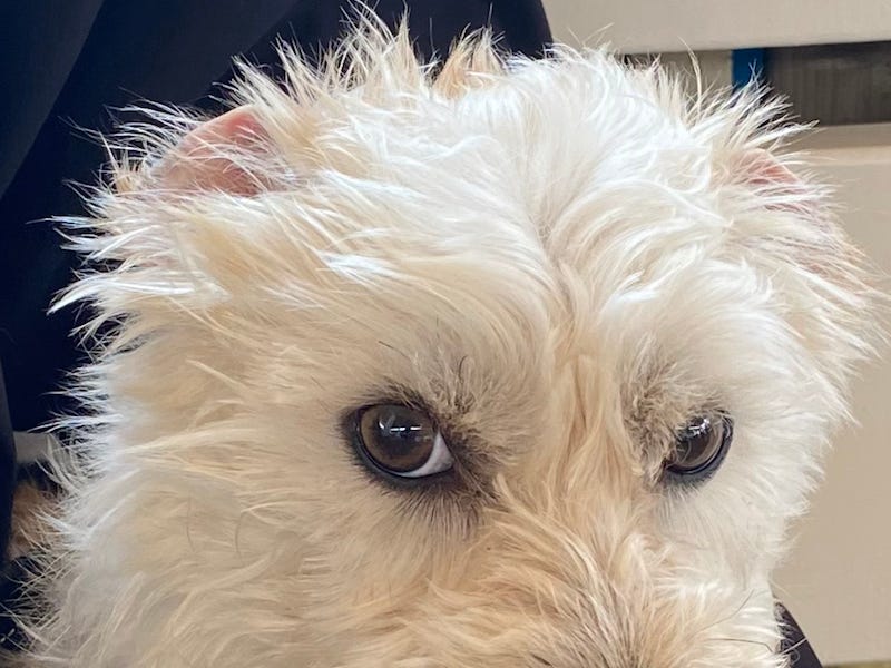 #13 Een lief loeder, een heerlijke doerak, een ontroerend secreet