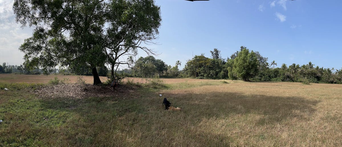 Inertia to make the move - Sai's Substack