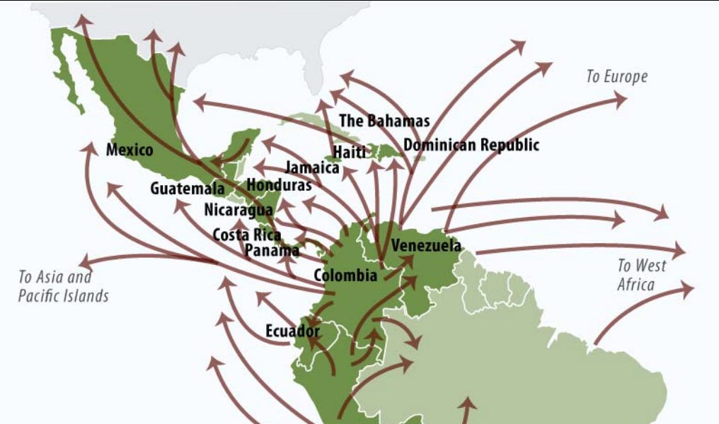 American Narco State Capture - Diane Francis