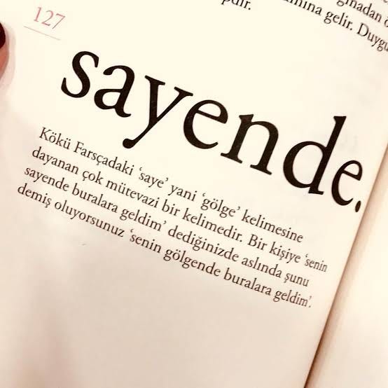 "SAYE" GÖLGE DEMEKTİR, GÖLGEYE GİRENİN GÖLGESİ OLMAZ. KENDİ GÖLGEN OLSUN.