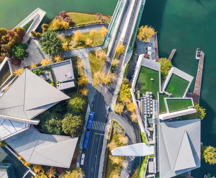 RICS WLCA 2nd Ed - by Steve Gilchrist - Steve’s Newsletter