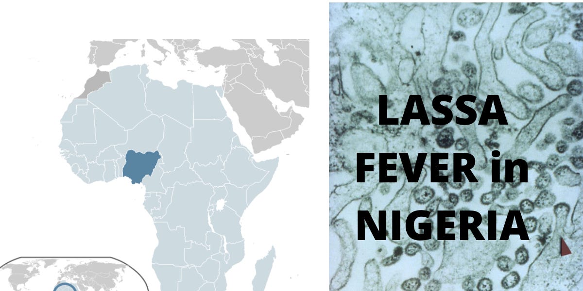 Nigeria reports rise in Lassa fever cases/deaths in 2023