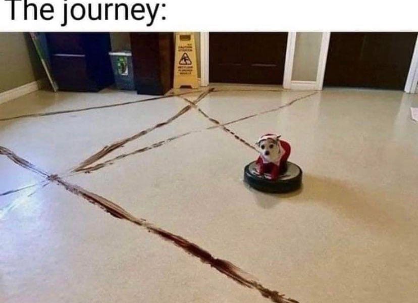 Create, Connect, Conquer: Building Your Brand with 'Fck Content'