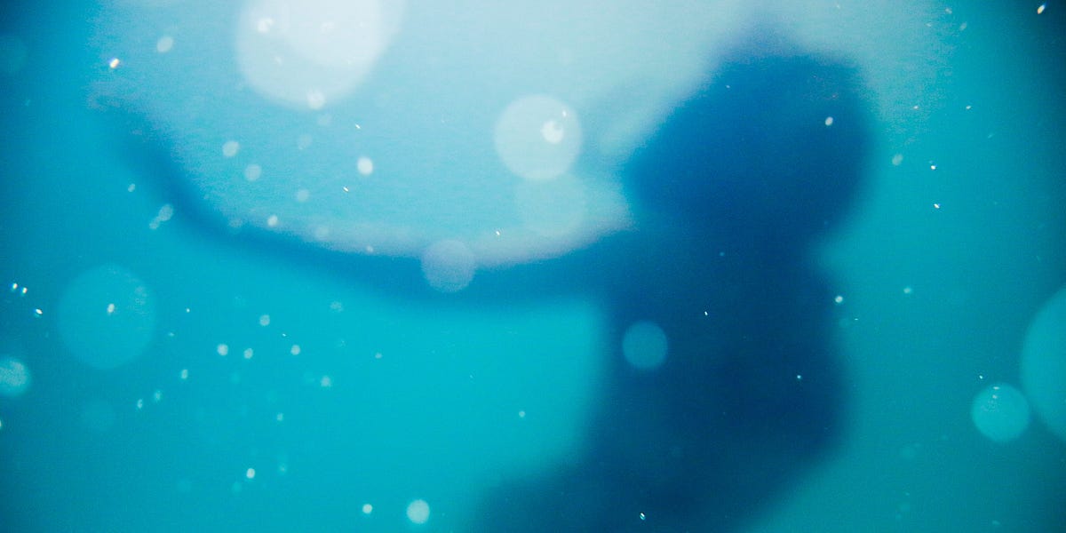 A Drop of Blood for a Mermaid - by Jebbie - Lost Kitten