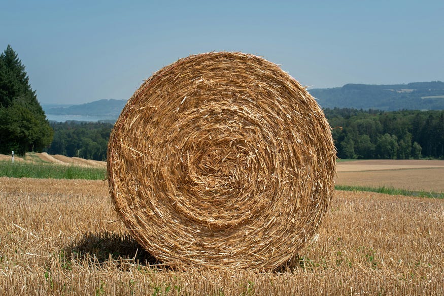Why I’m Heartbroken About Hay Bale Day - by Neil Shooter