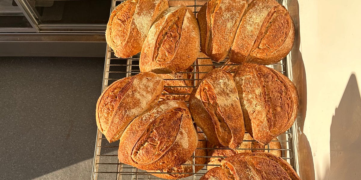 Everything I Made at Organic Cooking School in Europe