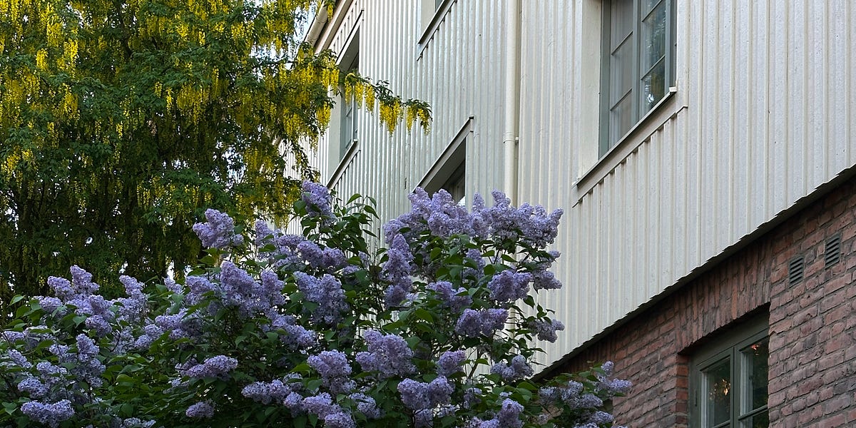 32 — The truth about spring in Sweden - by Ilenia Martini