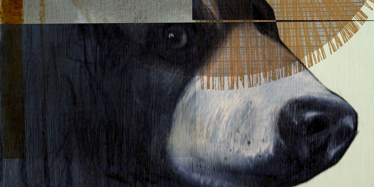 The First Day Of December... - Mrs Bertimus' Substack