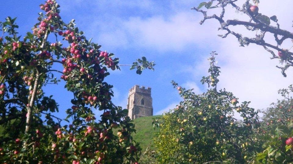 Apple Tree - Summer Prompt 5 - Part one - by John Willmott
