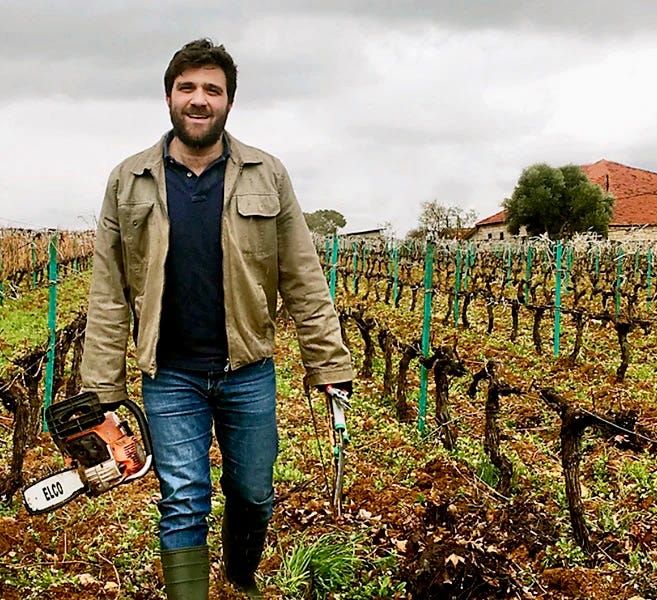 Lebanon's winemakers on the brink - by Andy Neather