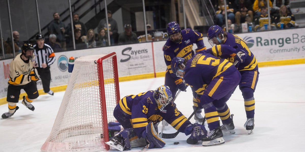 Looking back, ahead - by Shane Frederick - Puckato