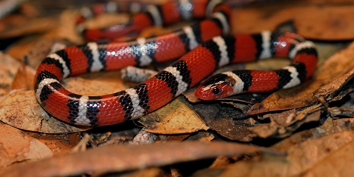 Truth is not a weapon. - by Robert Yi 🐳 - Win With Data