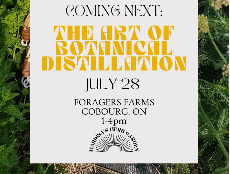 The Magic of Botanical Distillation