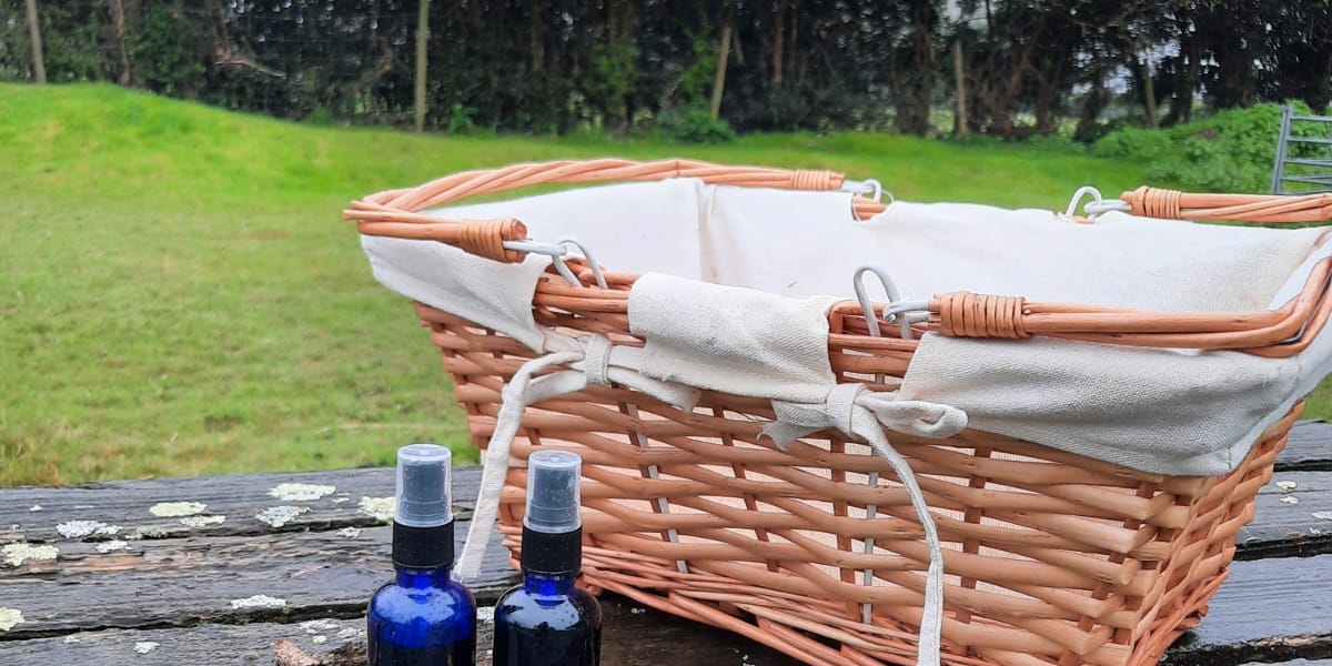 Purple puff potion! (100% organic!) - by Foraging Freya