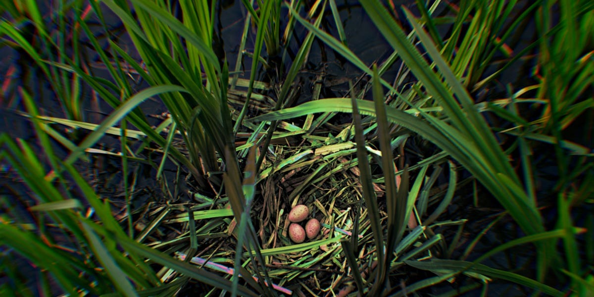 Two Gentlemen Naturalists - by Dylan Merz