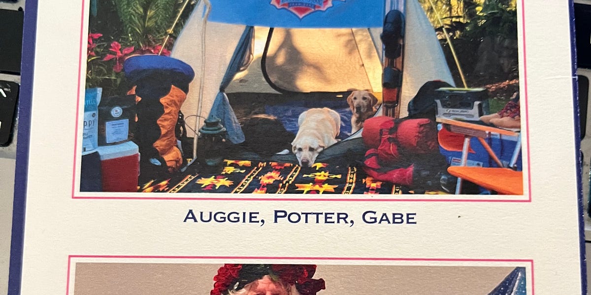 Grateful for them - by Helene Elliott - Helene’s Substack