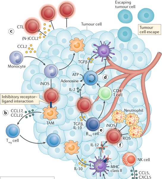 Cancer: hundreds of complex diseases that are plagued with misinformation