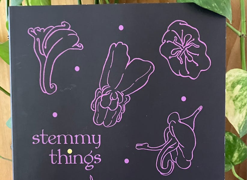 planting garlic & stemmy things - by emily brandt