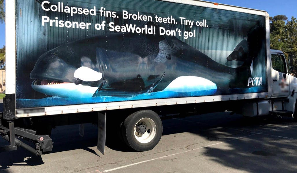 SeaWorld's abuse of Orcas must be stopped