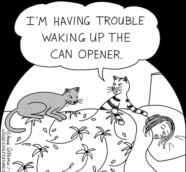 Comic Relief - by Anne Gibbons - Anne Can't Stand It!