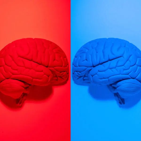 Red Brain, Blue Brain? - Discourse