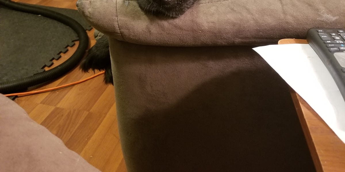 The Company We Keep - by David M. Poff - Hermit Chronicles